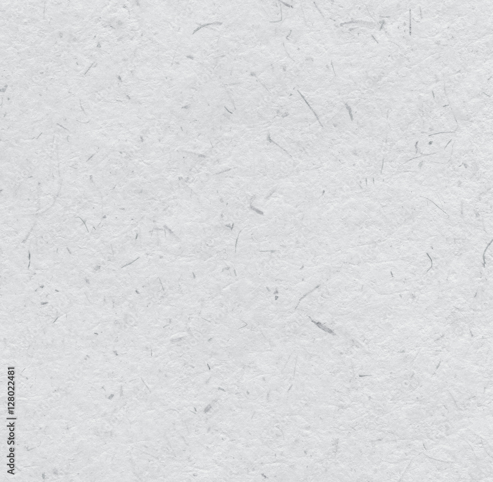 Light grey paper texture background Stock Photo | Adobe Stock