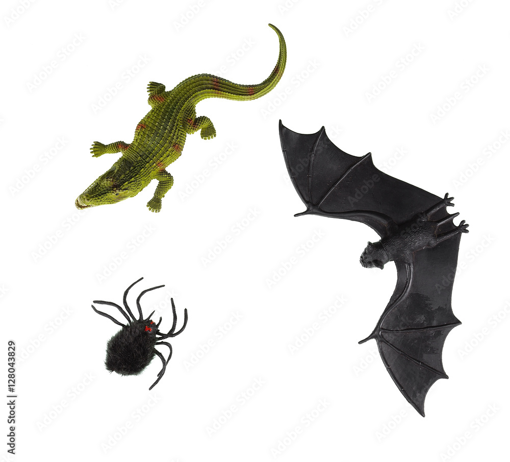 bats, spider, crocodile Stock Photo | Adobe Stock