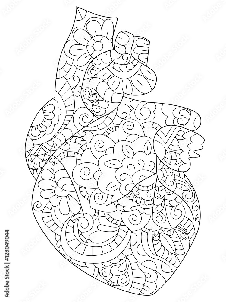 Heart Anatomy Coloring Page