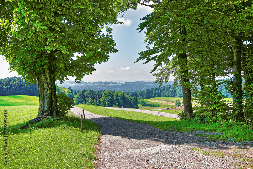 Nature of Turbenthal in Winterthur in Zurich canton of Switzerland ...