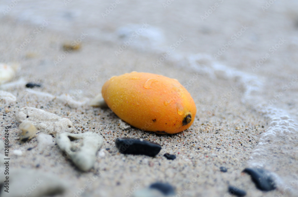 Mango on a beach Stock Photo | Adobe Stock