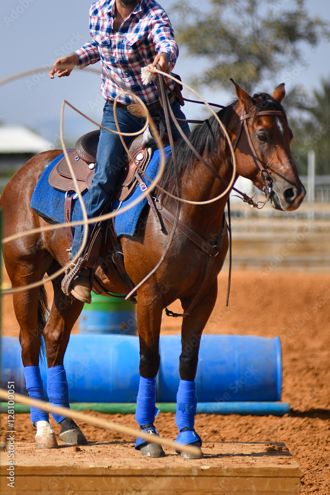 Cowboy Throwing Lasso