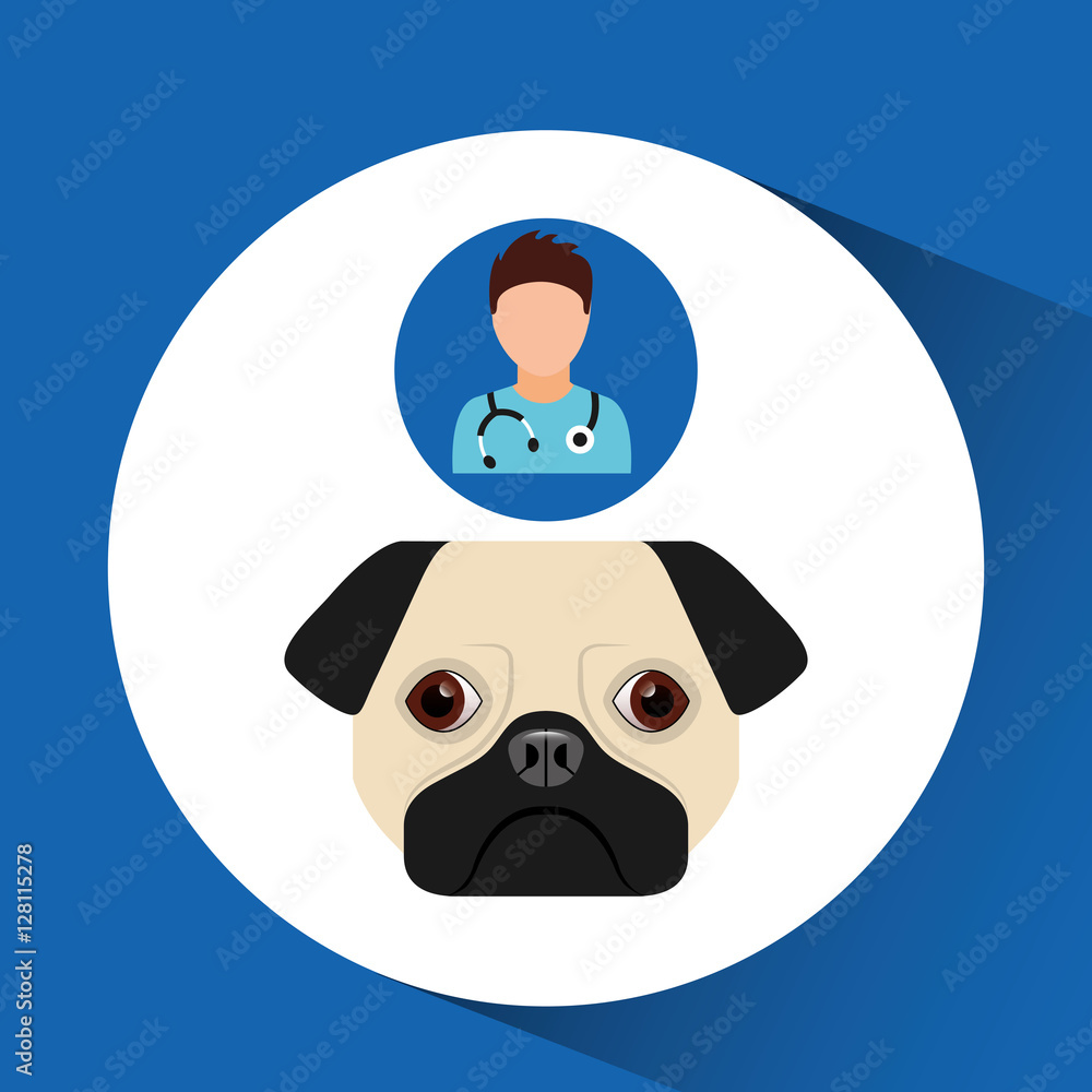 doctor cartoon veterinarian dog pug vector illustration eps 10 Stock ...