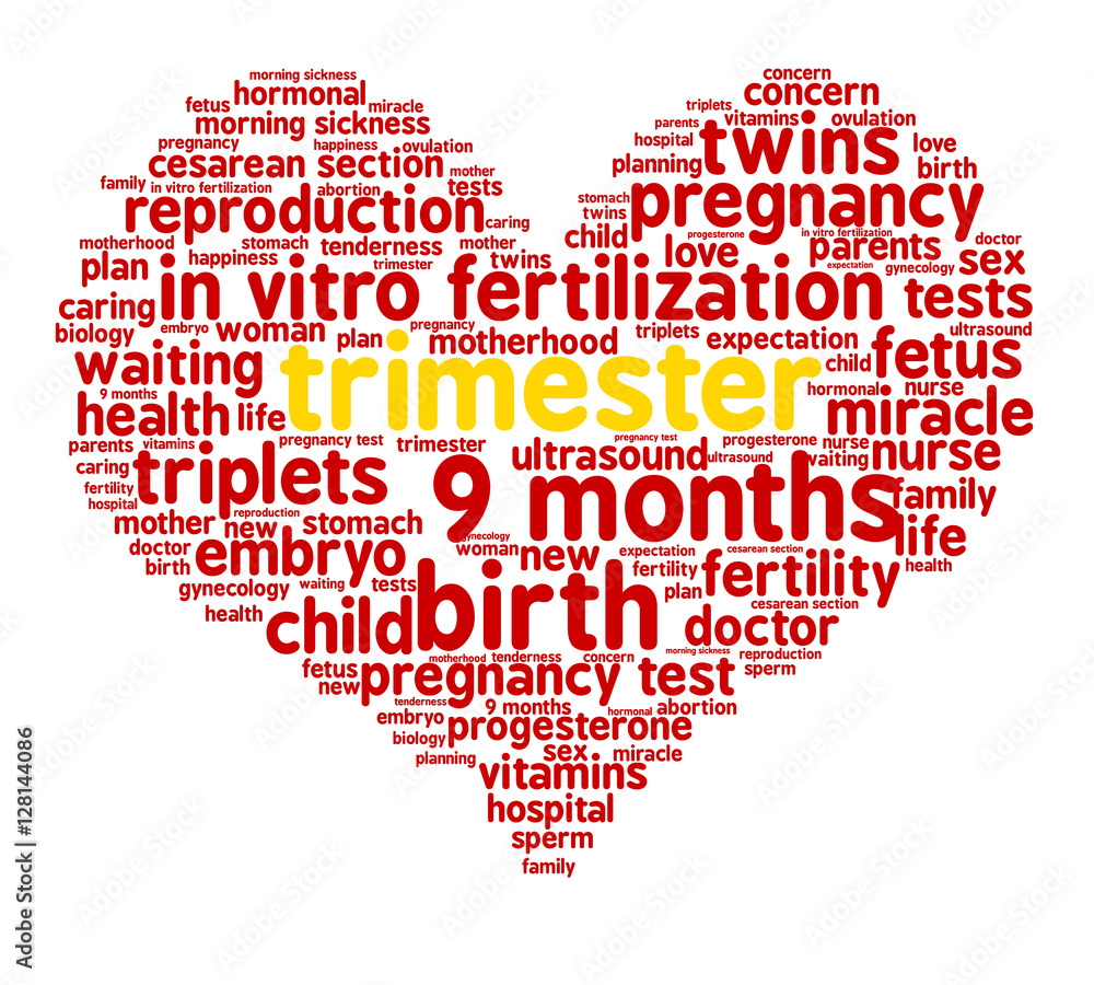 Trimester. Word cloud, red heart, white background. The miracle of ...