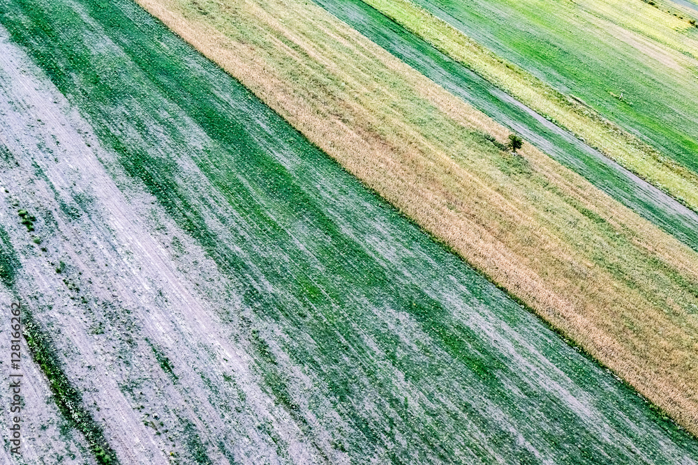 Flying above the fields. Stripes of land colored in different colors by ...