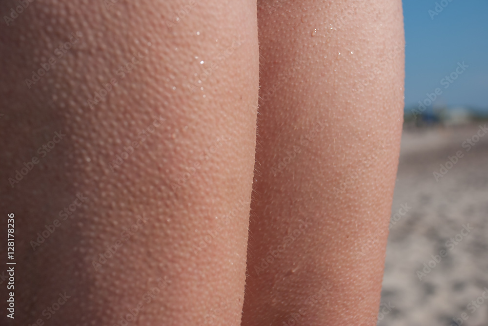 goose skin Stock Photo | Adobe Stock