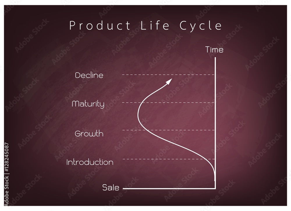 Marketing Concept of Product Life Cycle Chart on Chalkboard Stock ...