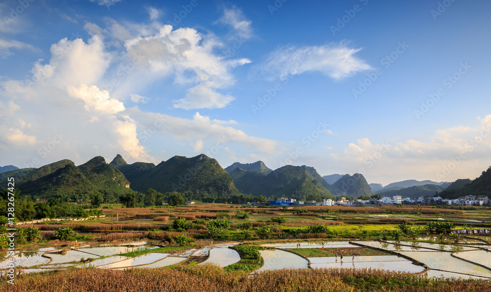 Rice Farm Land Outside The Village Stock Photo | Adobe Stock