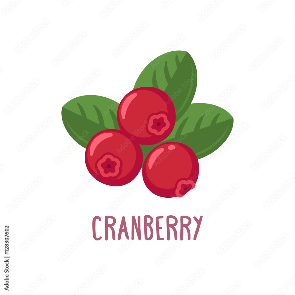 Vector cranberry icon vector de Stock | Adobe Stock