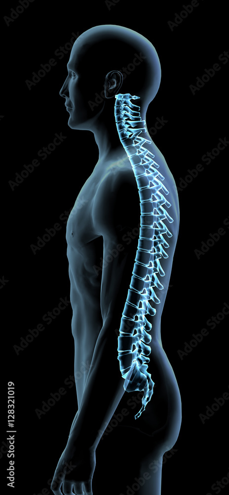 Blue X-ray Man with Vertebral Spinal Column, Side View Stock ...