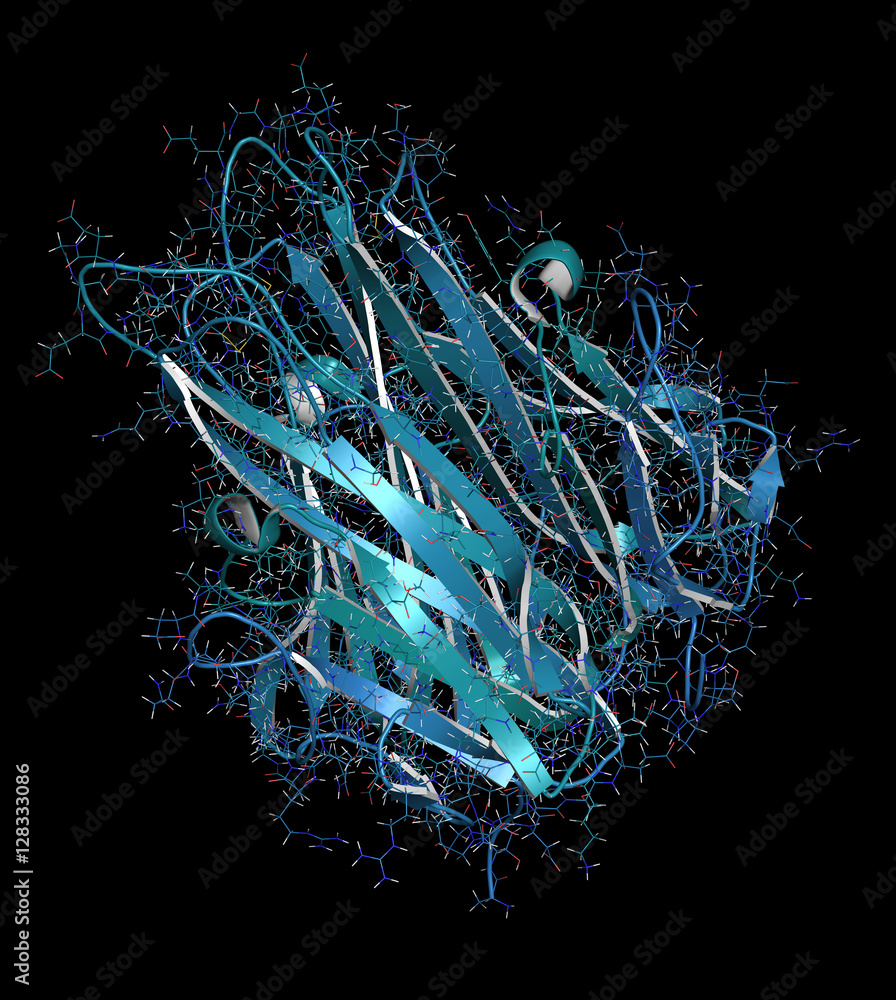 Tumor necrosis factor alpha (TNF) cytokine protein molecule, 3D ...