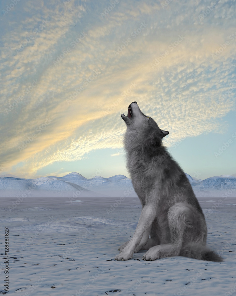 Arctic Wolves Howling