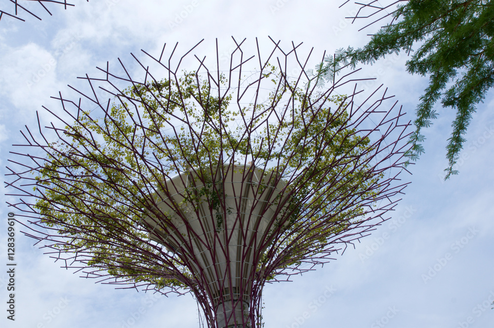SINGAPORE - JULY 23rd, 2016: Day view of The Supertree Grove at Gardens ...