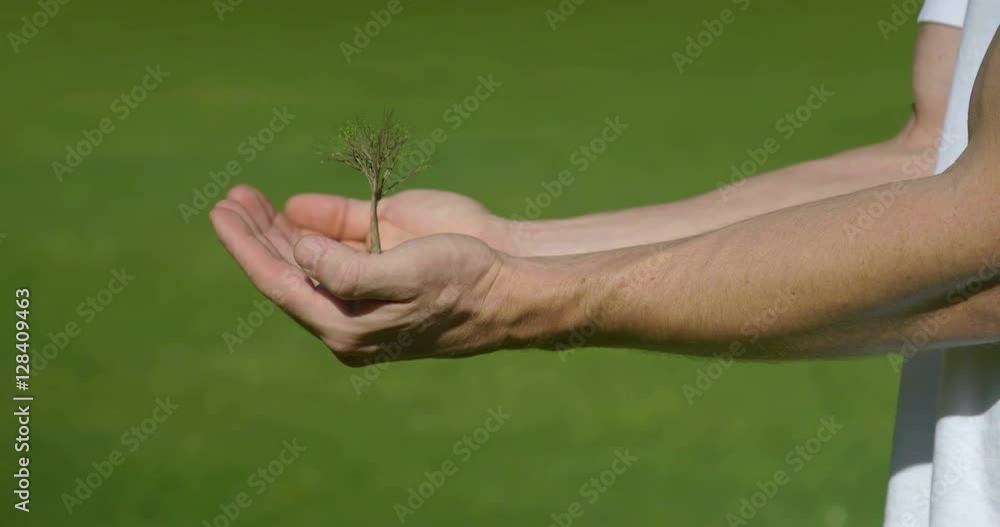 Tree Growing on Hands Stock Video | Adobe Stock
