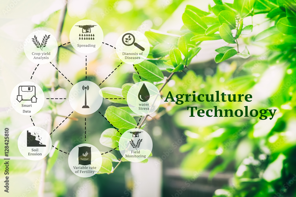 Precision Agriculture and Agritech concept. Sensor network in ...
