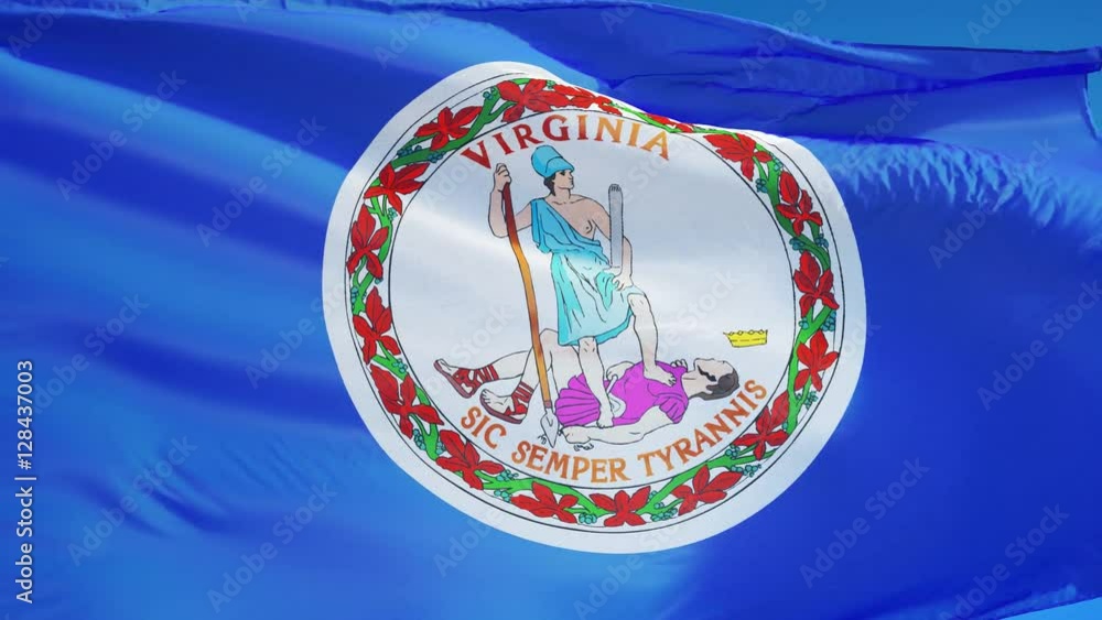 Virginia (U.S. state) flag waving in slow motion against blue sky ...