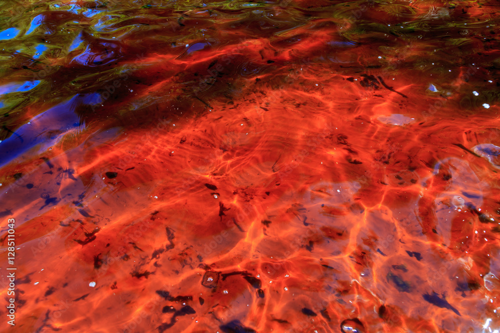 Water red shade in the forest lake, peat bogs stained water in ...