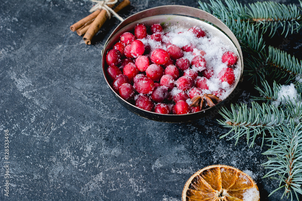 Cranberry Tree Winter