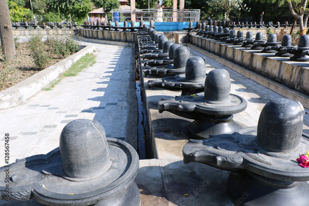 Shivpuri Dham Kota, Rajasthan is the only place where we able to see ...