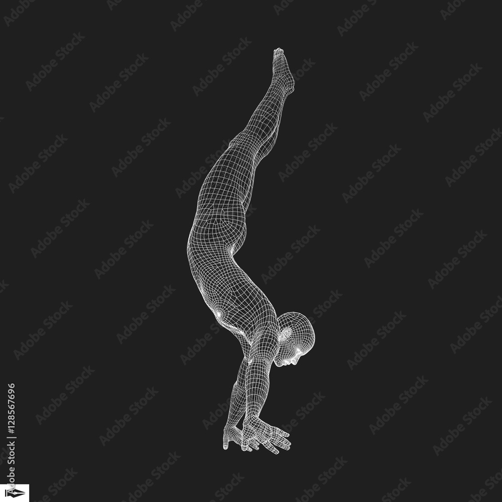 Gymnast. Man. 3D Model of Man. Human Body Model. Stock Vector | Adobe Stock