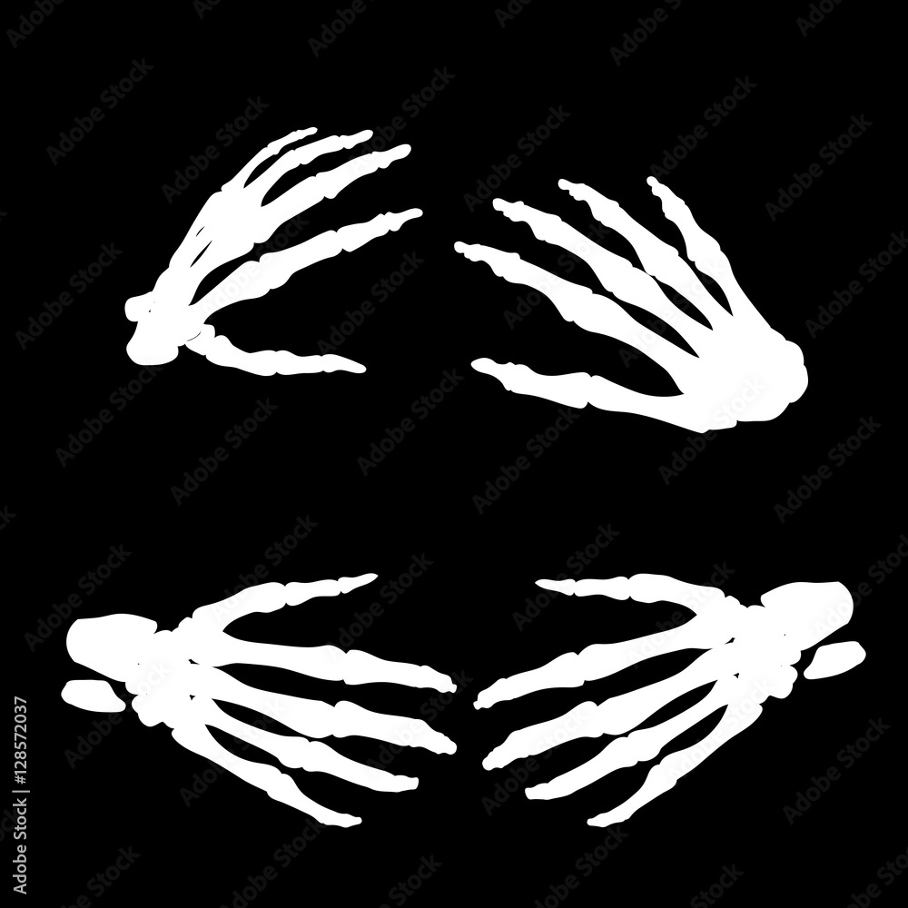 Human hand bones anatomy isolated vector illustration. Black and white ...