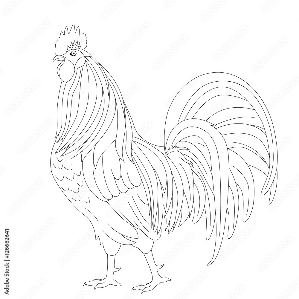 Rooster Drawing Outline