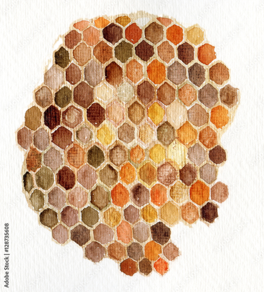Watercolor hand painted honeycomb on white background. Original design ...