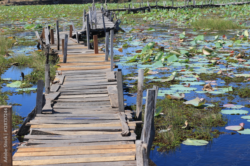 Old wood bridge over water Photos | Adobe Stock