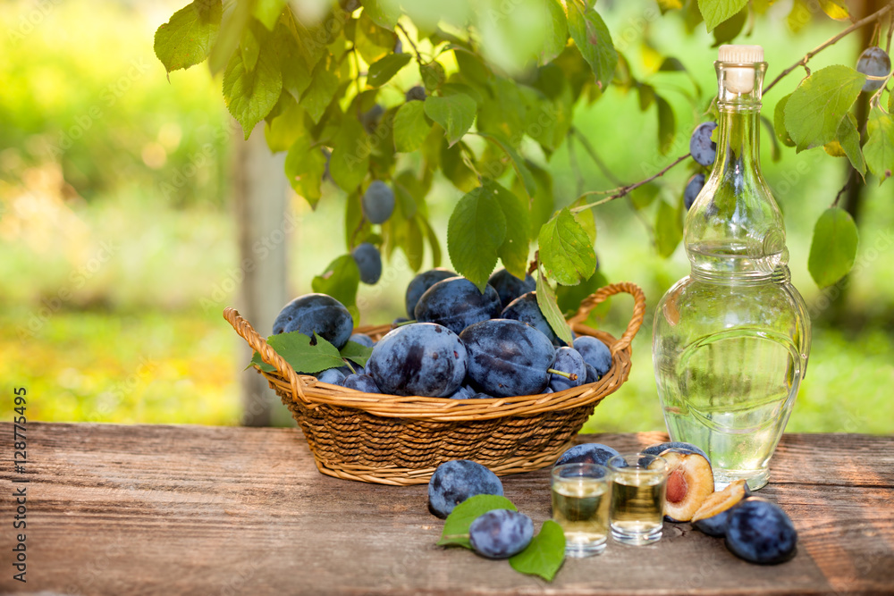 Serbian rakia with shot glasses and plum basket Stock Photo | Adobe Stock