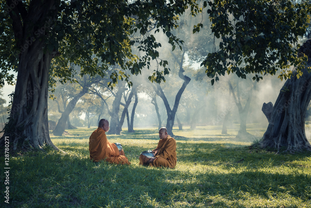 Asian monk walk under a tree,monk meditating in area around wild Stock ...