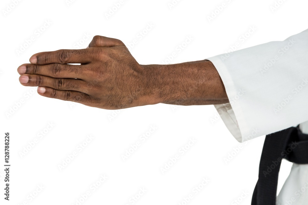 Fighter doing karate chop Stock Photo | Adobe Stock