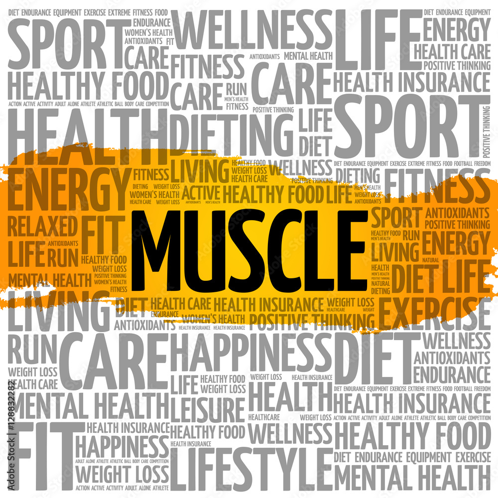 Muscle word cloud collage, health concept background Stock Vector ...