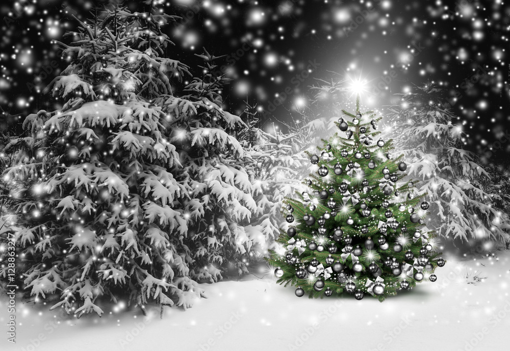 Silberner Christbaum im Wald Stock Photo | Adobe Stock