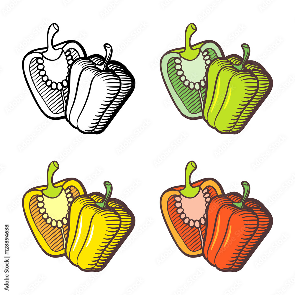 Illustration of bell pepper. Whole pepper and cross section. Red ...