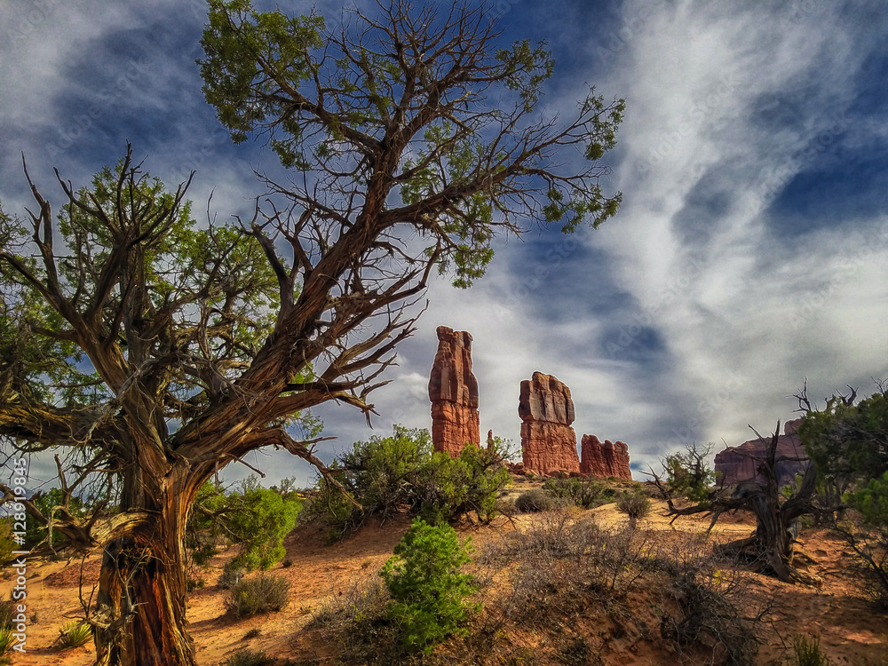 Poster Echo and Aeolian Tower – Wall Art | UkPosters