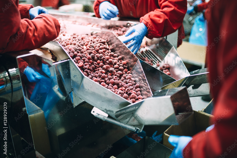 Factory for freezing and packing fruits. Unrecognizable worker's hands ...