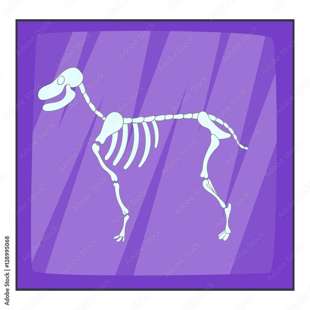 Dog skeleton icon. Cartoon illustration of dog skeleton vector icon for ...