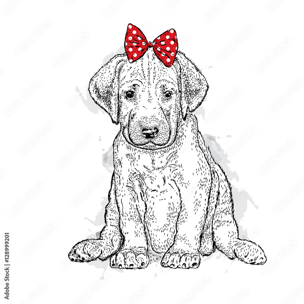 Cute puppy with bows. Illustration for a card or print on clothes ...