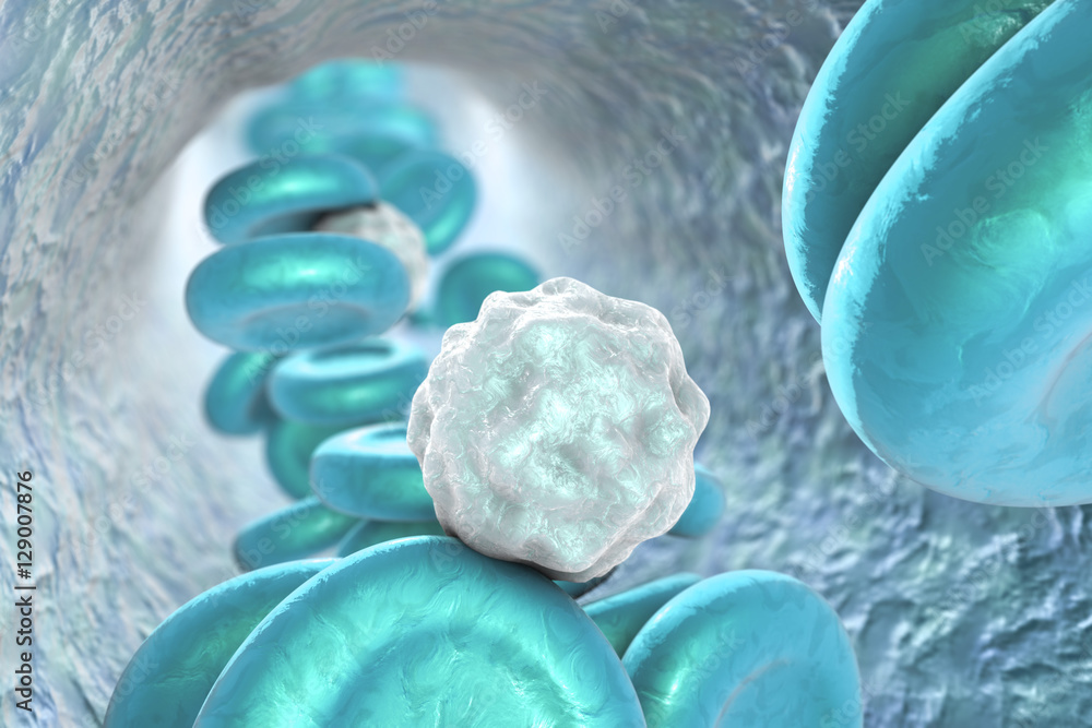 Inside blood vessel with red blood cells and white blood cells. 3D ...