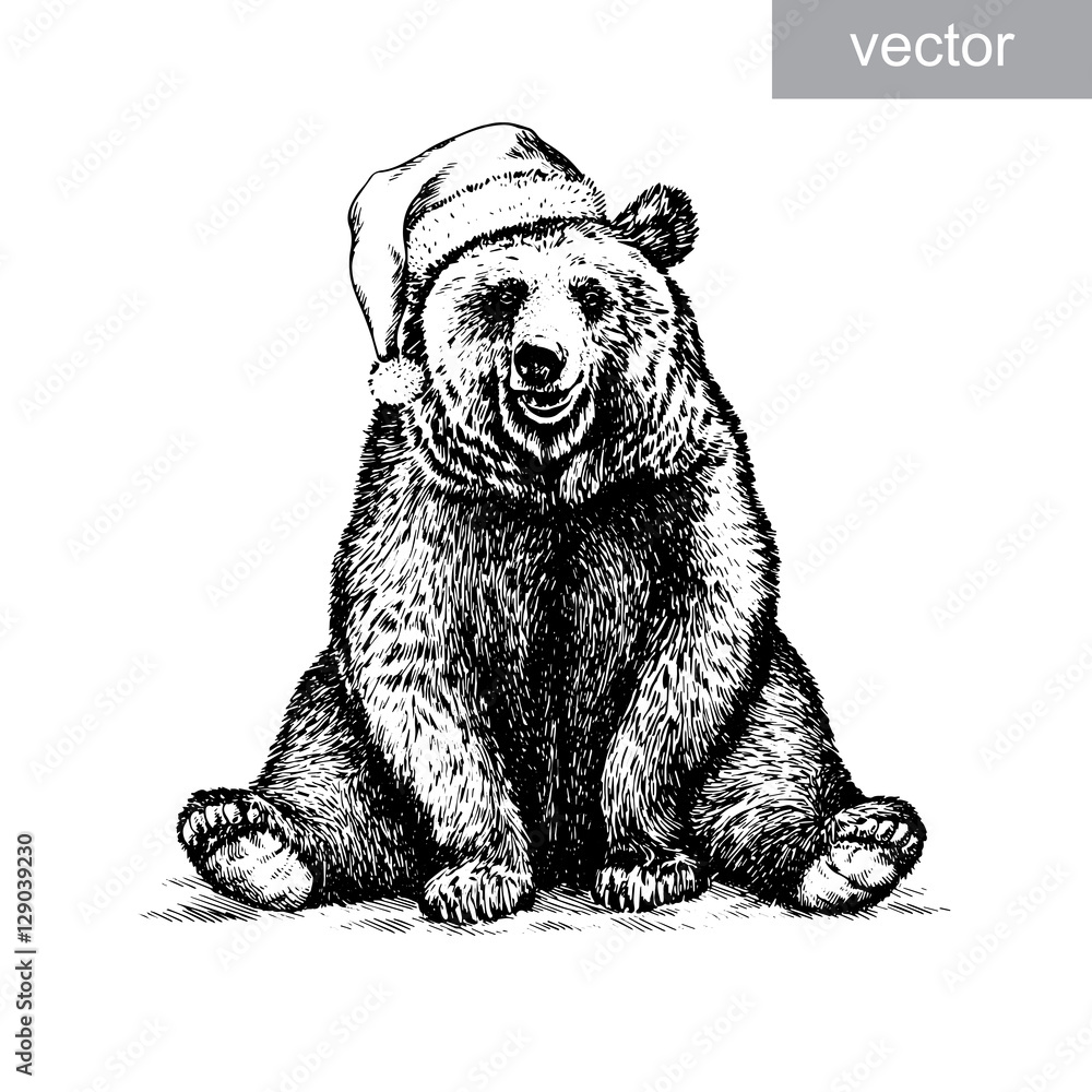 Brown Bear Brown Bear Clipart Black And White