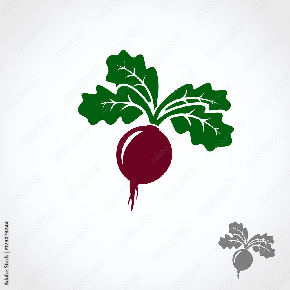 Beet set. Vector Stock Vector | Adobe Stock