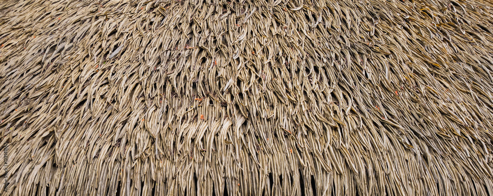 Thatched roof texture background Stock Photo | Adobe Stock