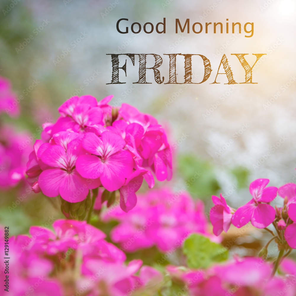 Good Morning Pictures Friday