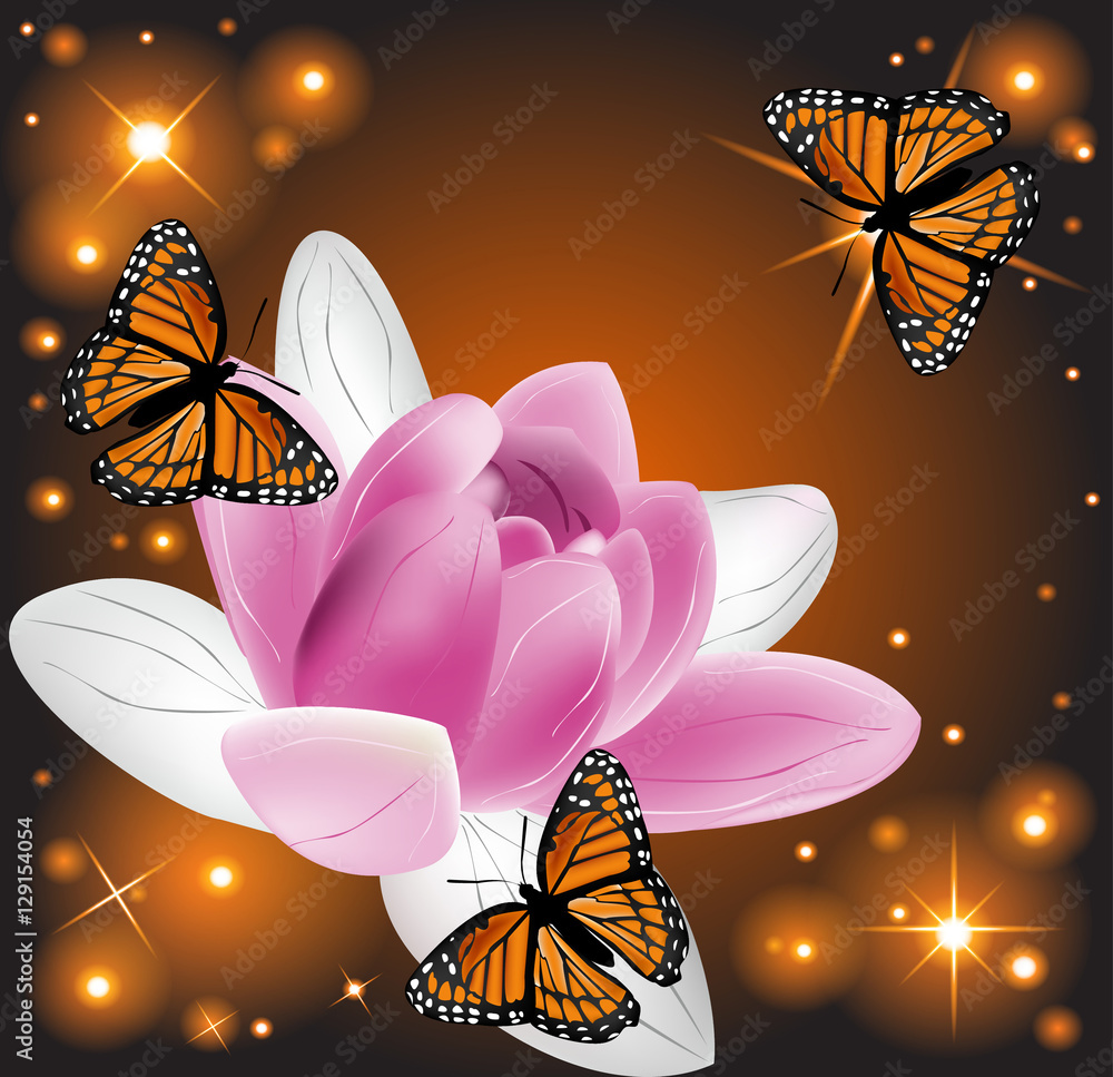Beautiful lotus flower with butterflies on a glowing background Stock ...