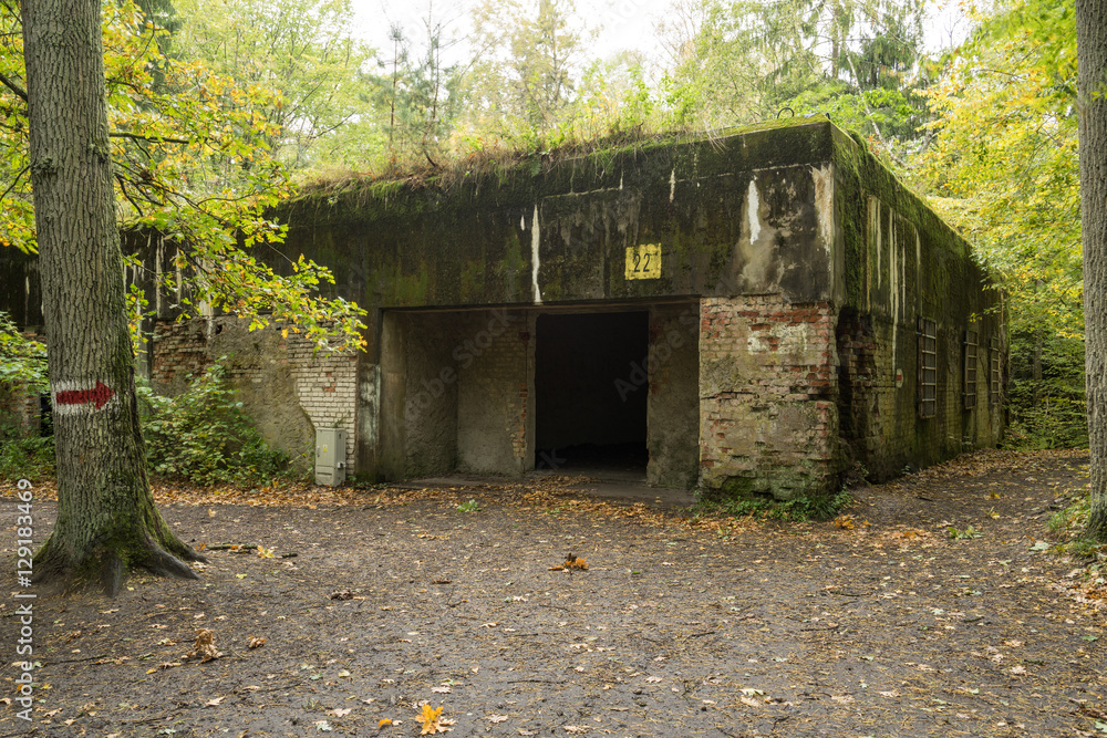 Wolfs Lair Adolf Hitlers Bunker In Poland First Eastern Front