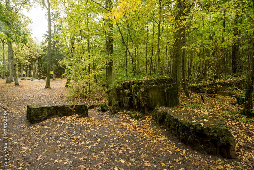 Wolf's Lair, Adolf Hitler's Bunker in Poland. First Eastern Front ...