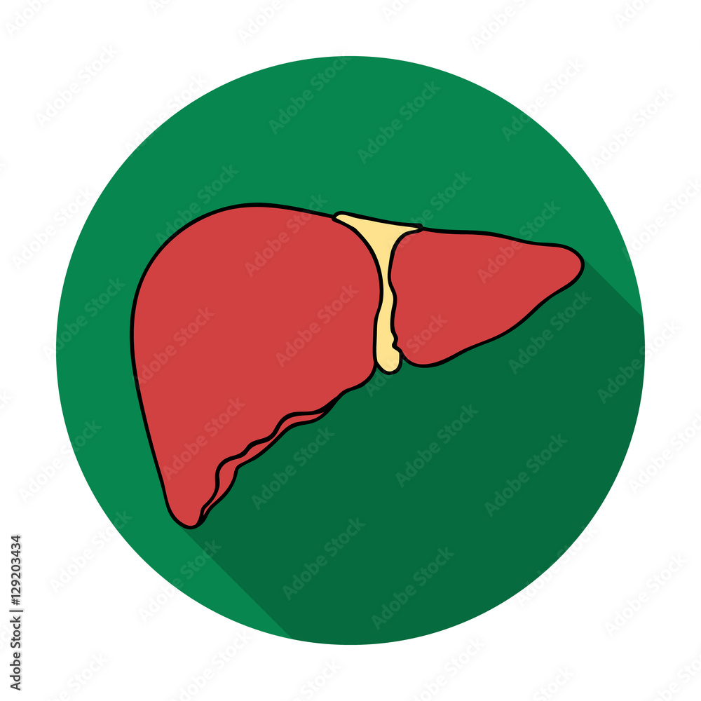 Human liver icon in flat style isolated on white background. Human ...