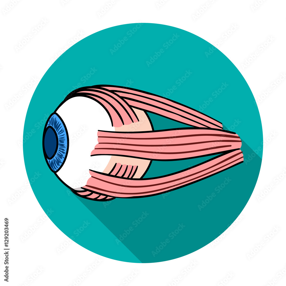 Human eyeball icon in flat style isolated on white background. Human ...