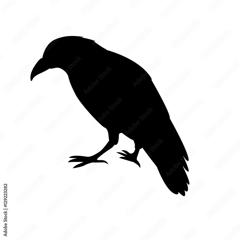 raven black silhouette vector illustration Stock Vector | Adobe Stock