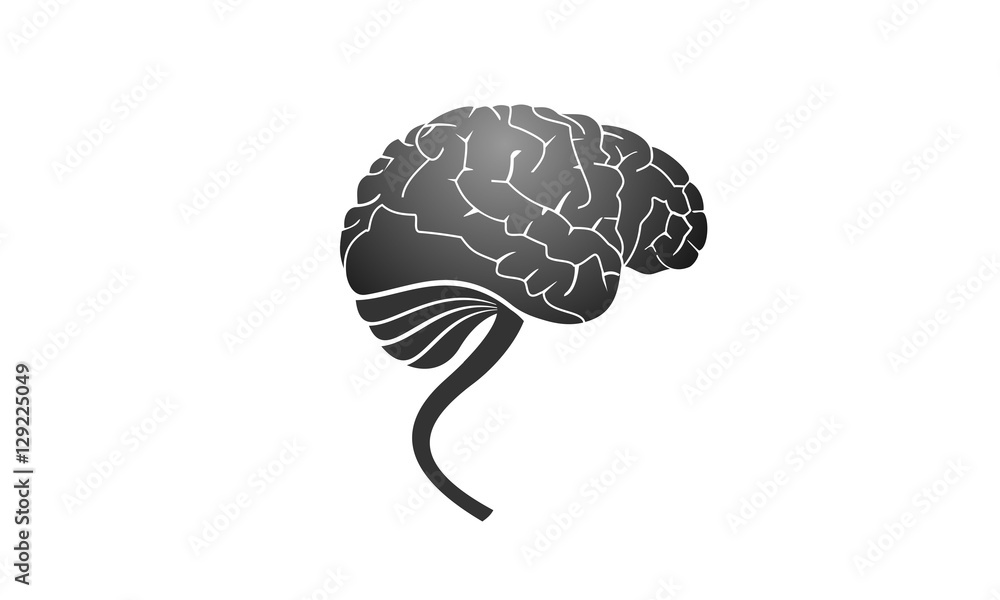 Human brain icon in cartoon style isolated on white background. Human ...